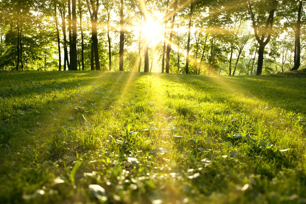 How To Look At Spring | The Odyssey Online