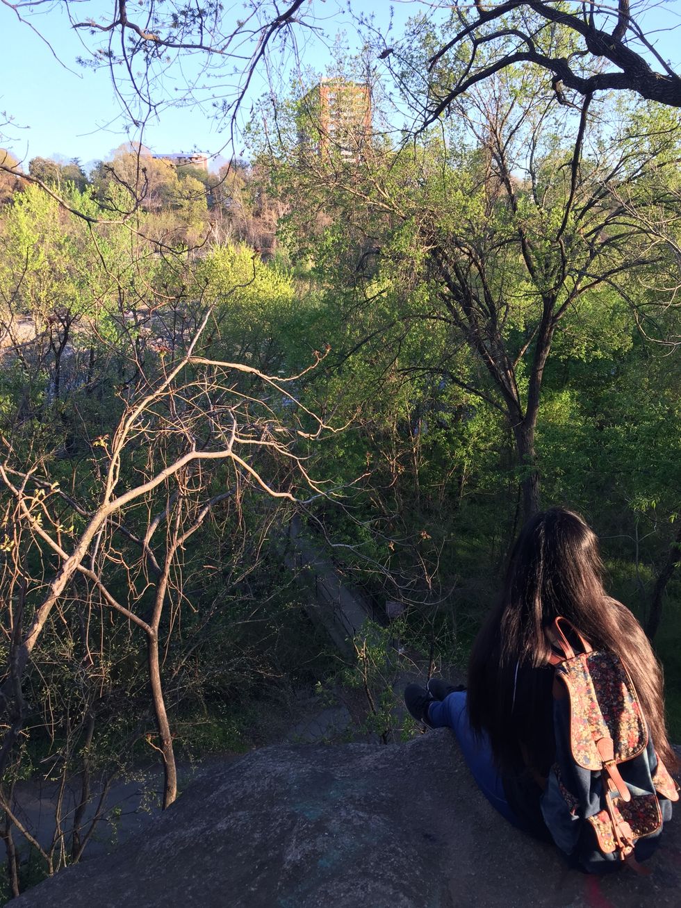 5 Reasons To Love Belle Isle | The Odyssey Online