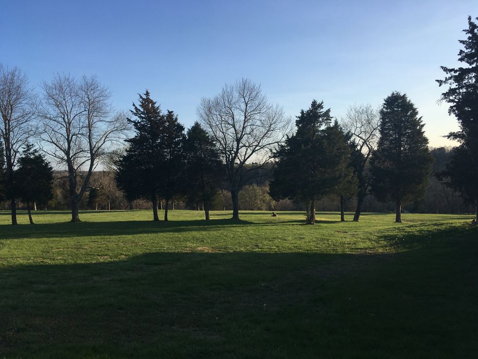 10 Reasons To Do UDab | The Odyssey Online