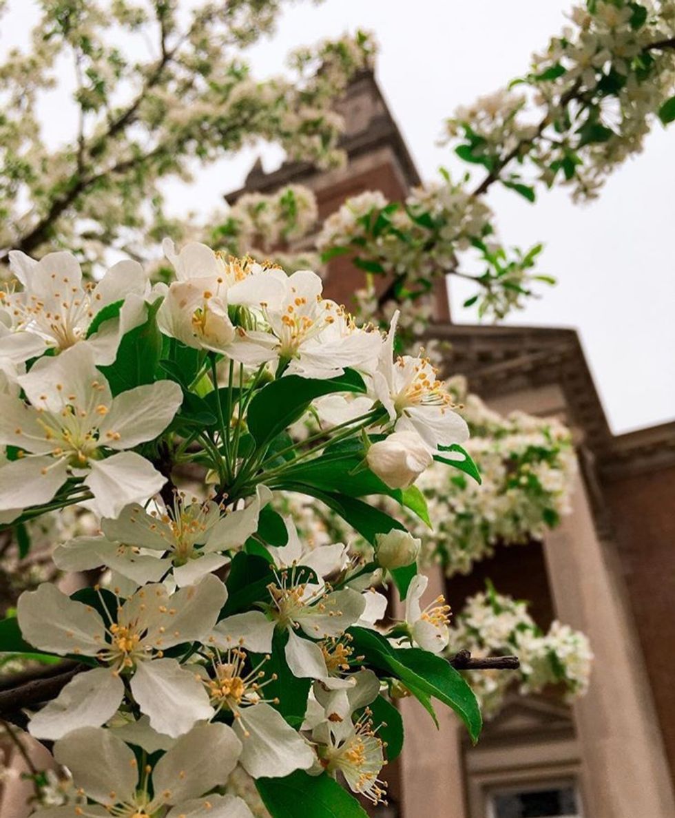 12 Reasons Why Denison University's Springs Are The Best | The Odyssey ...