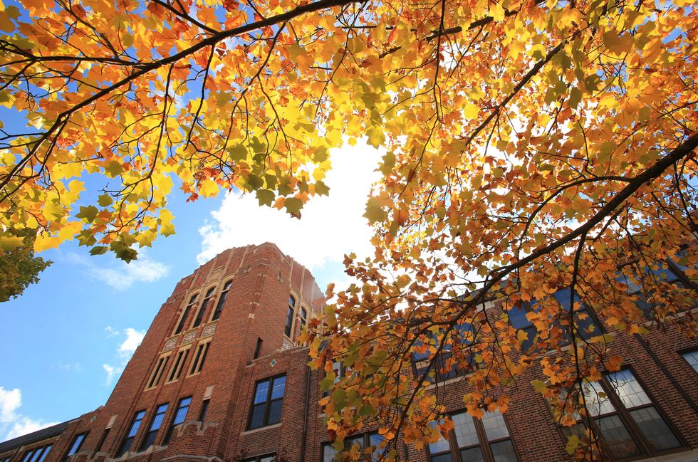 How College Helped Me Come Out Of My Shell | The Odyssey Online