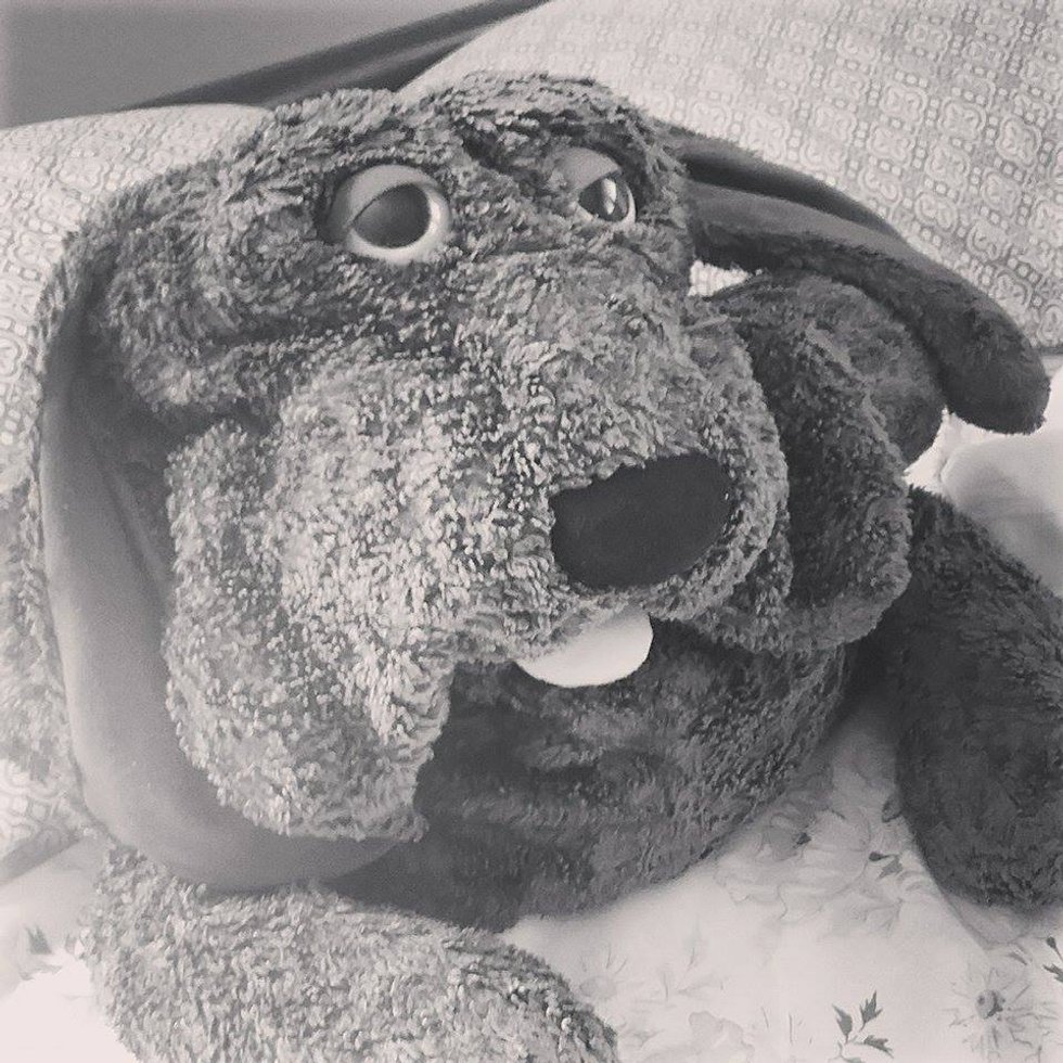 To My Old Stuffed Animal: | The Odyssey Online