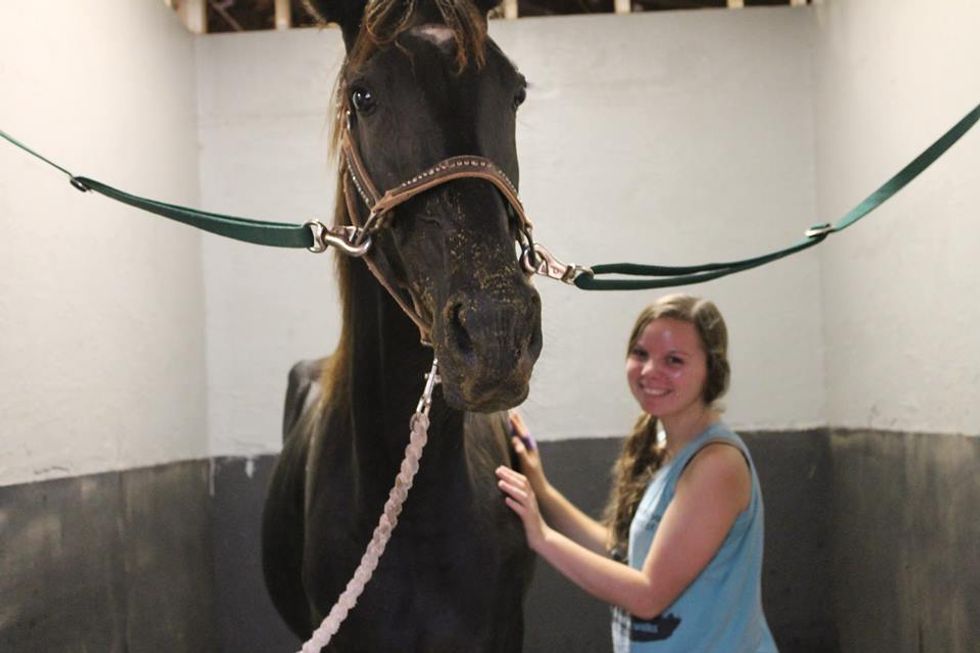 How I Overcame My Fear of Horses | The Odyssey Online