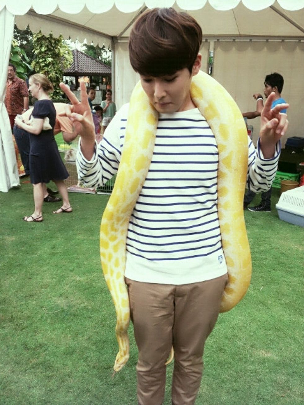 34 Chokers That Are Actually Deadly Snakes But Super Cute | The Odyssey ...