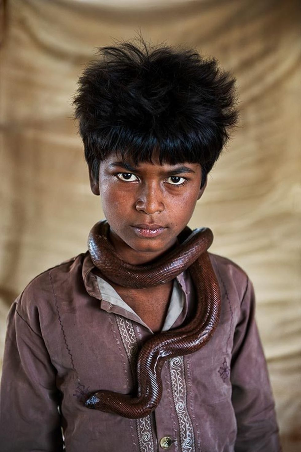 34 Chokers That Are Actually Deadly Snakes But Super Cute | The Odyssey ...