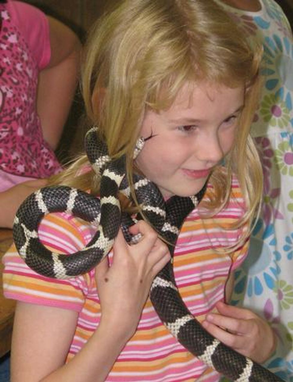 34 Chokers That Are Actually Deadly Snakes But Super Cute | The Odyssey ...