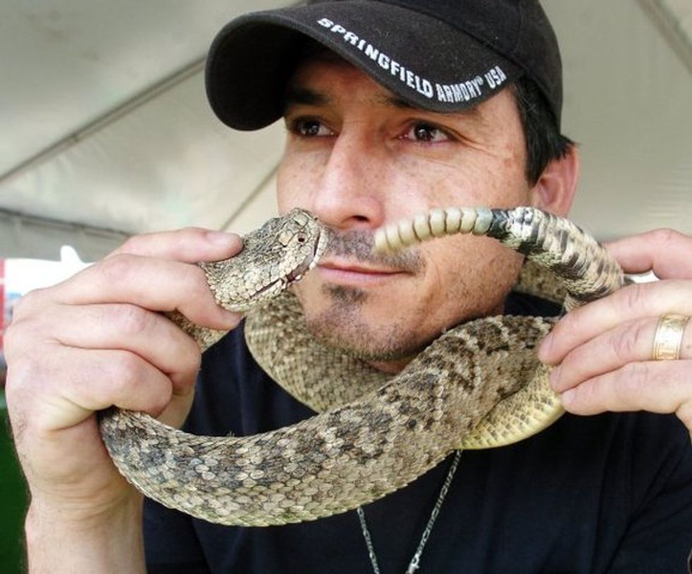 34 Chokers That Are Actually Deadly Snakes But Super Cute | The Odyssey ...