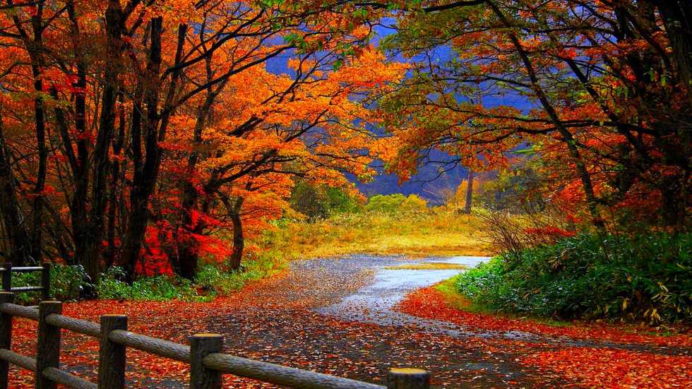 10 Reasons Why We Love The Fall | The Odyssey Online