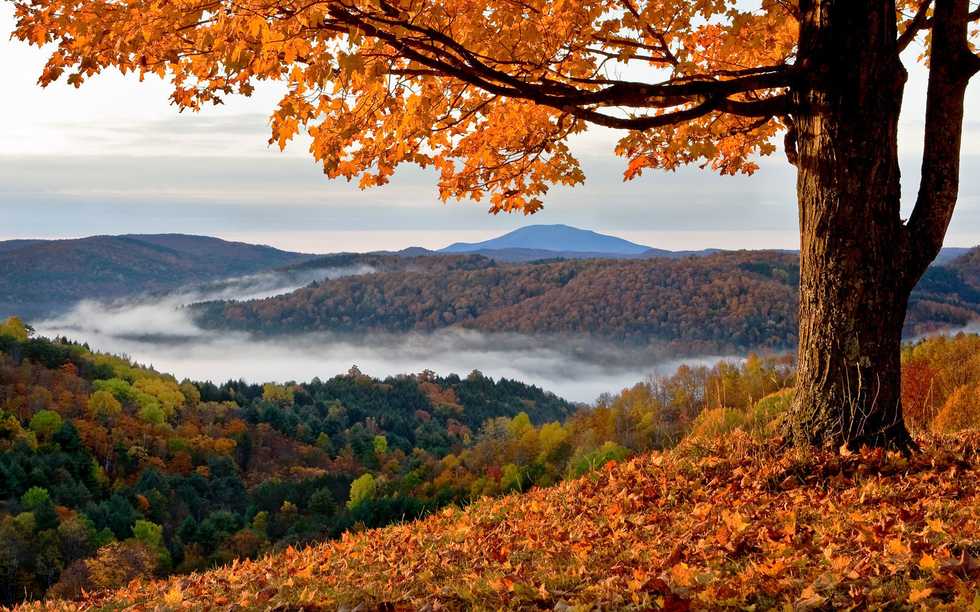 5 Reasons To Be Excited For The Fall | The Odyssey Online