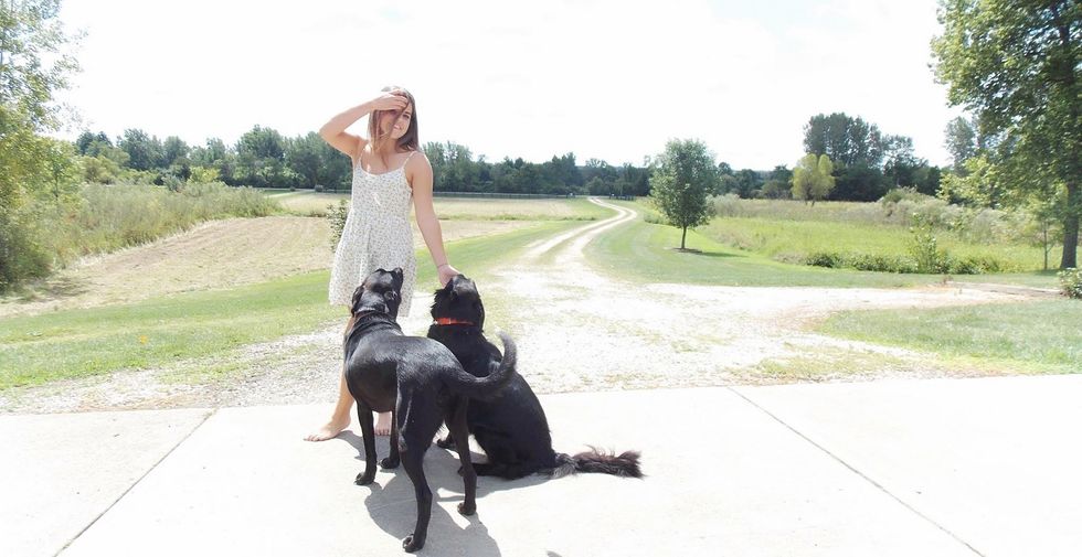 10 Lessons Everyone Can Learn From Dogs | The Odyssey Online