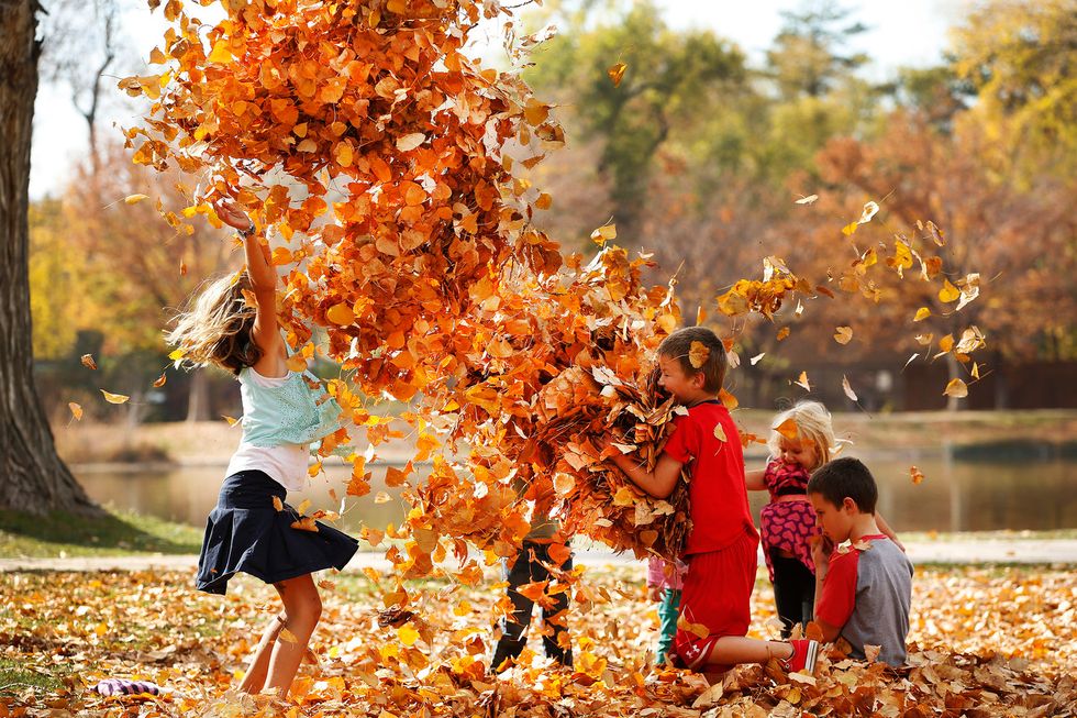 8 Things I'm Excited For This Fall | The Odyssey Online