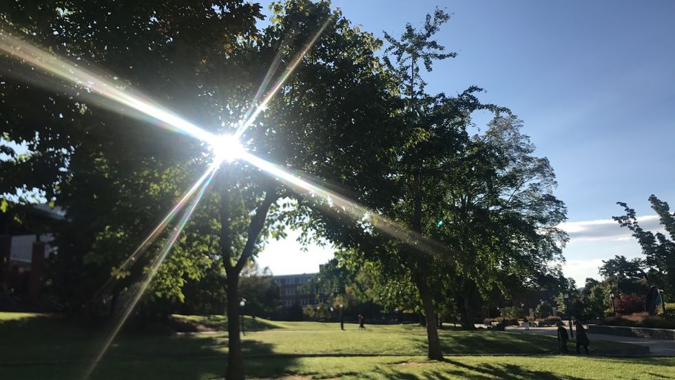 10 Things I Wish I Had Known After Freshman Move-In Day | The Odyssey ...