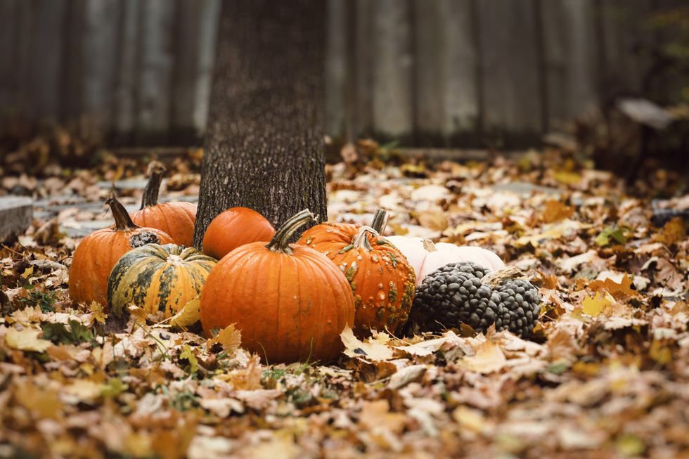 20 Signs That'll Make You Admit Your Obsession With Fall | The Odyssey ...