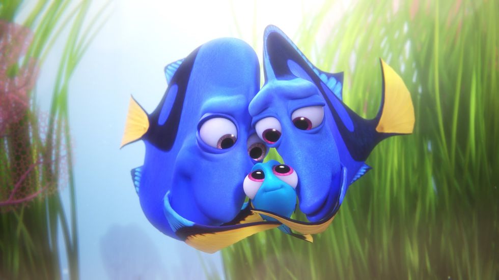 The Psychology Behind Dory's Short-Term Memory Loss | The Odyssey Online