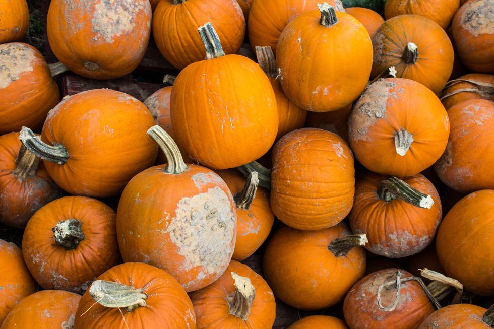 The 10 Best Things About October | The Odyssey Online