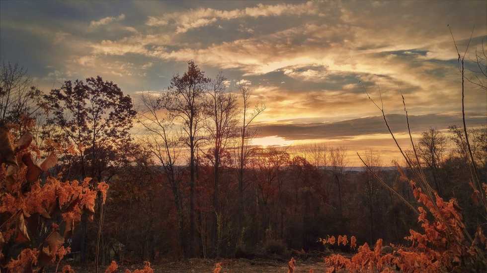 The Effects Of Fall | The Odyssey Online