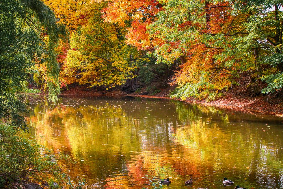The 5 Most Scenic Places For Fall Foliage On The East Coast | The ...