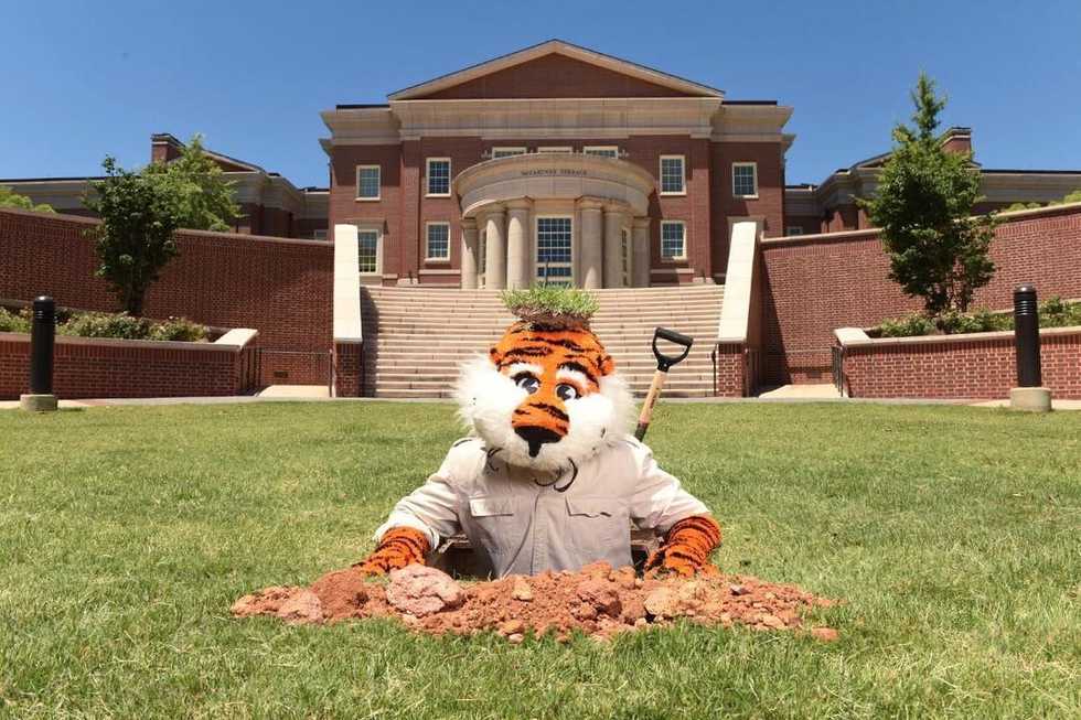 8 Things All Auburn Students Know To Be True | The Odyssey Online
