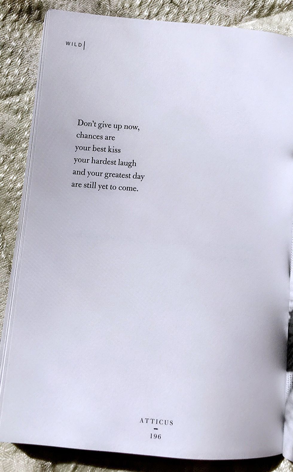 17 Poems from Love Her Wild to relate to | The Odyssey Online