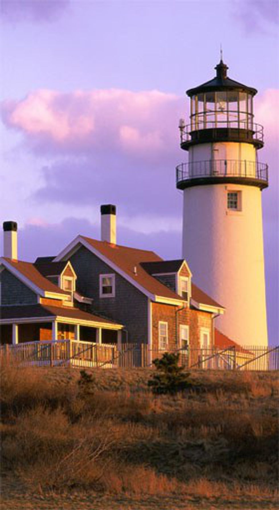 11 Reasons To Love The Cape | The Odyssey Online