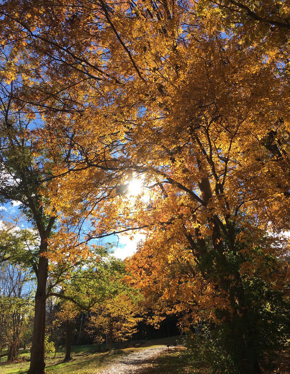 281 Acres Of Nature, Just A T Ride Away | The Odyssey Online