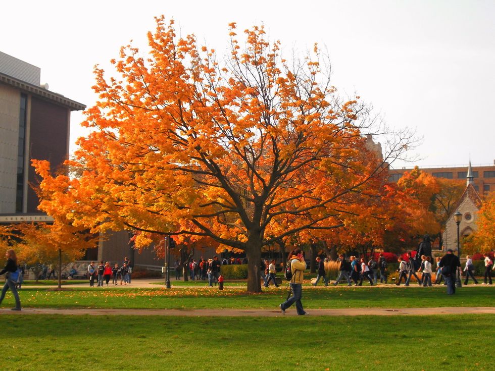 7 Things Every College Student Is Eternally Thankful For | The Odyssey ...