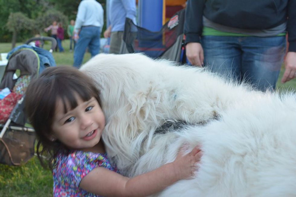 10 Reasons Why Dogs are Actually a Girl's Best Friend | The Odyssey Online