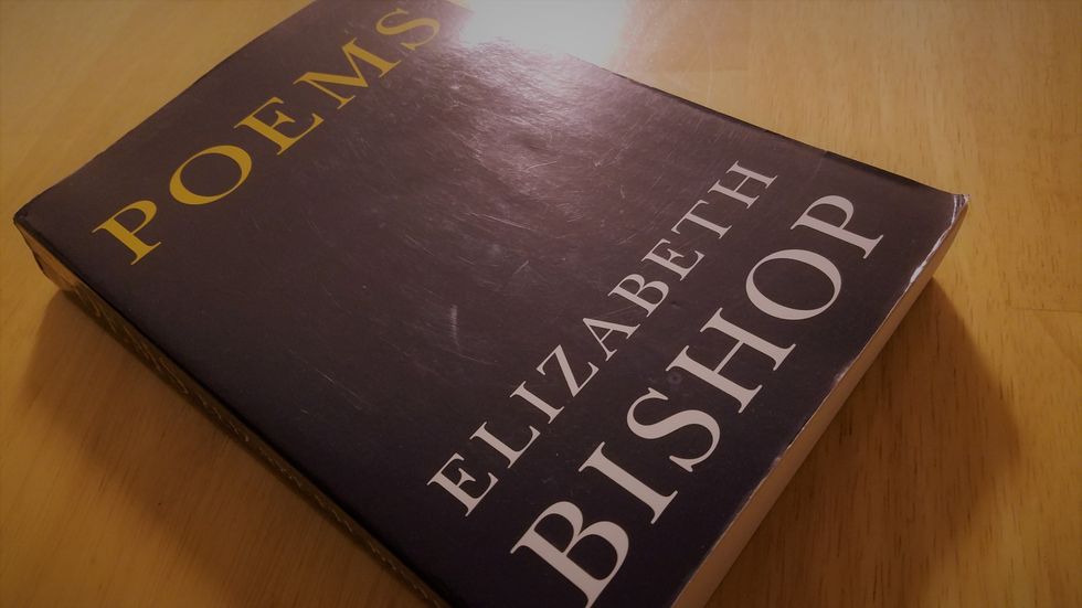 Top 7 Poems to better understand Elizabeth Bishop | The Odyssey Online