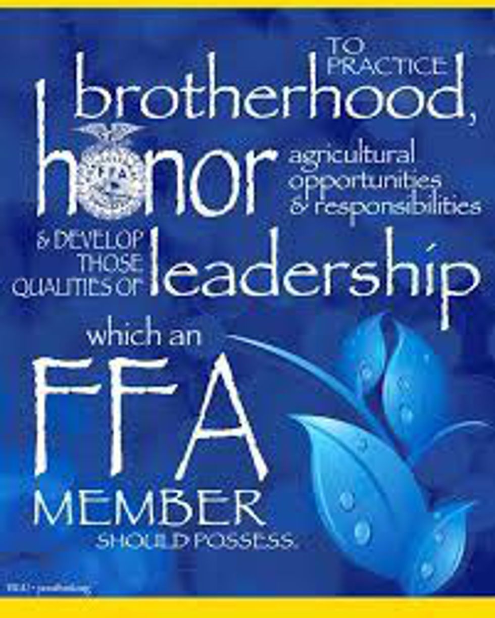 FFA Members, Why Are We Here? | The Odyssey Online