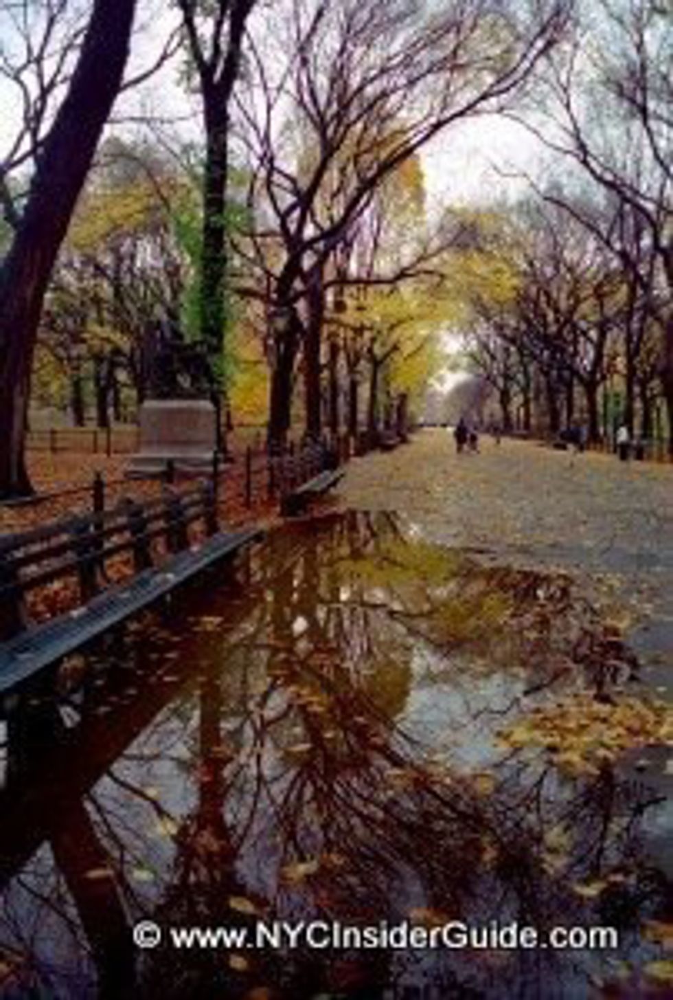 "8 Activities To Do in NY In November." | The Odyssey Online