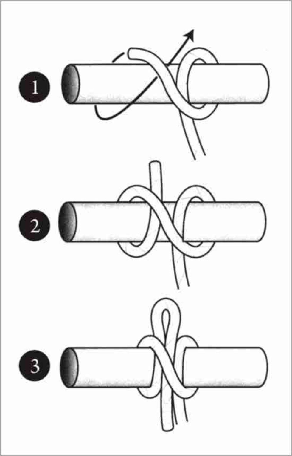 Basic Knots For Basic People | The Odyssey Online