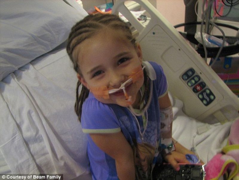 Annabel Beam Tree Accident - The Best Picture Of Beam