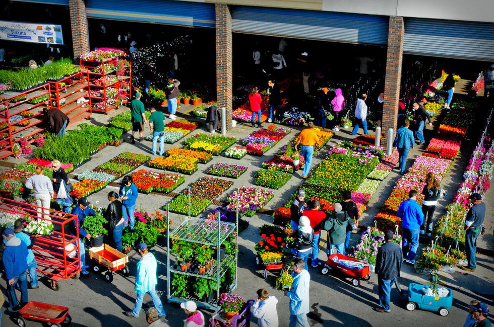 Why You Should Spend Your Saturdays At Eastern Market | The Odyssey Online