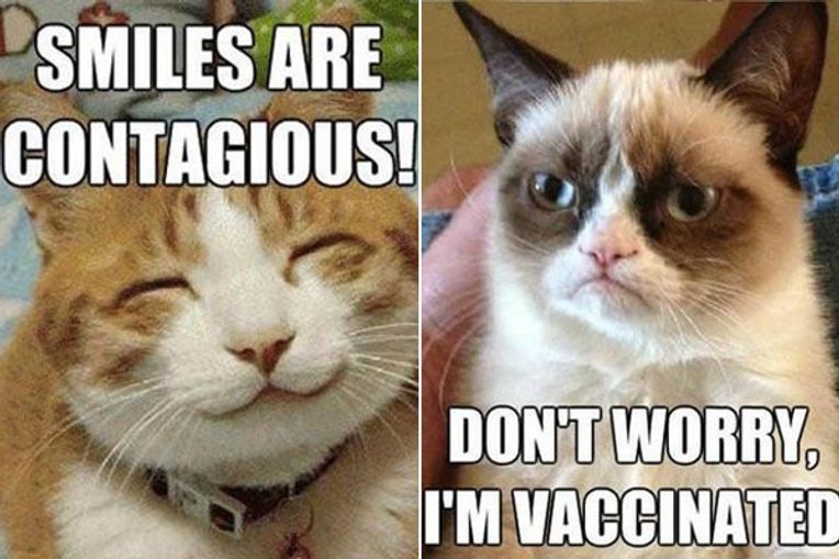 Grumpy Cat Good Night Meme
