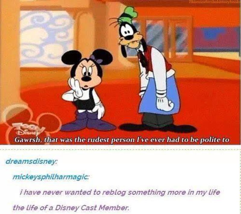 Disney College Program Memes