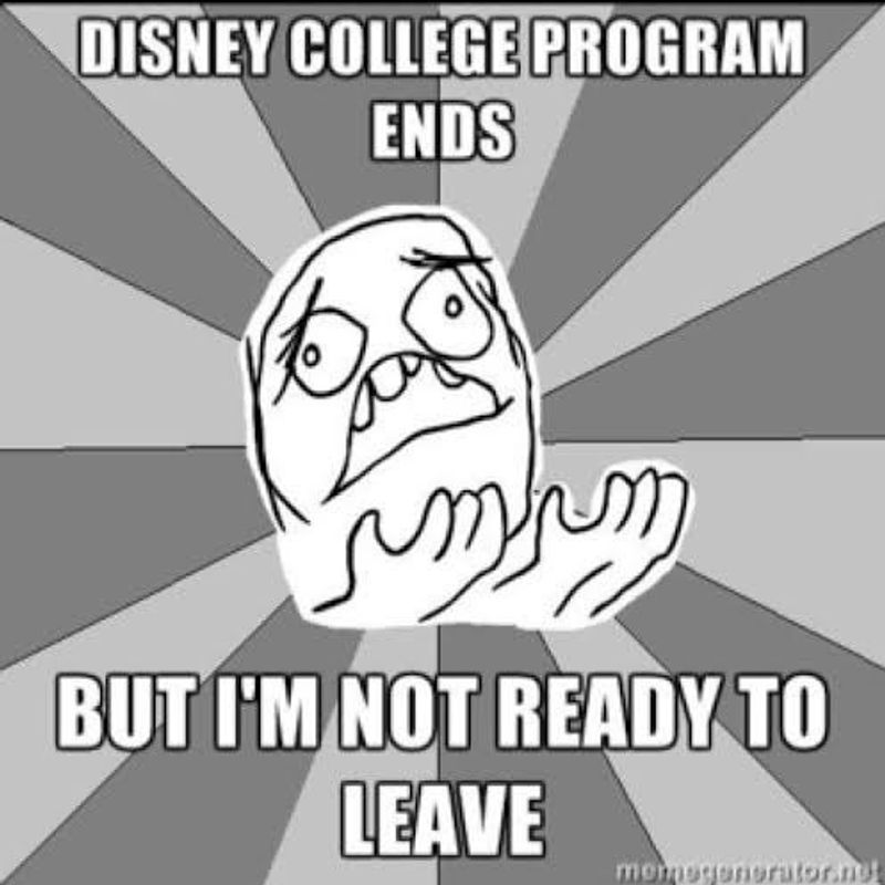 Disney College Program Memes