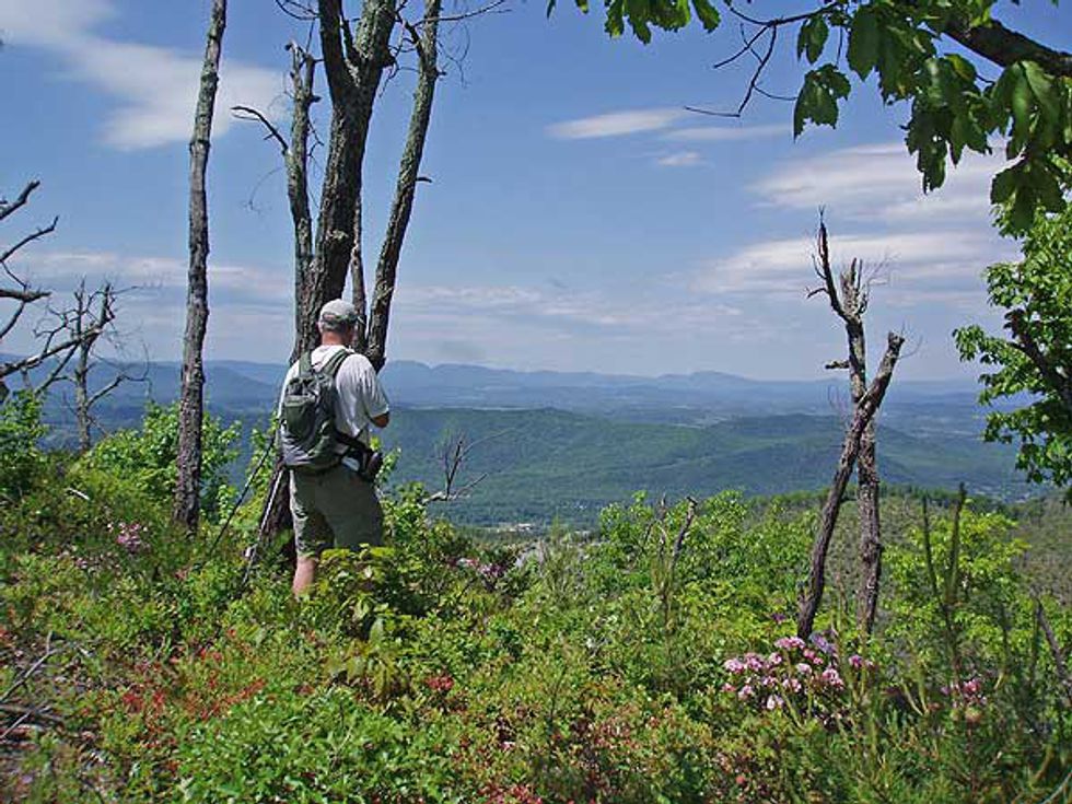The 10 Best Hikes In Southwest Virginia | The Odyssey Online
