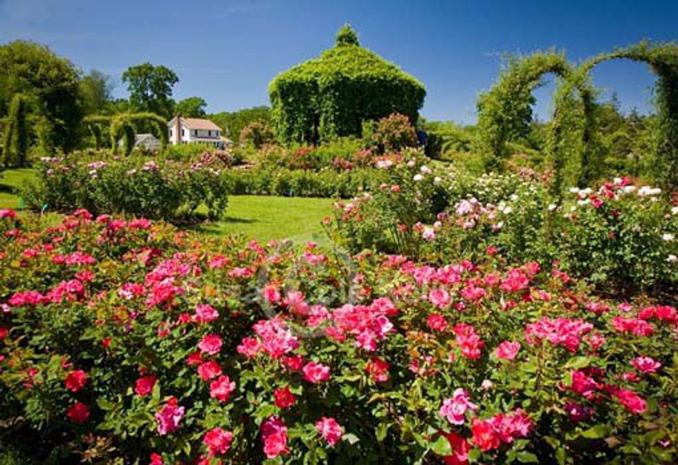 Exciting Things To Do In Connecticut This Summer | The Odyssey Online