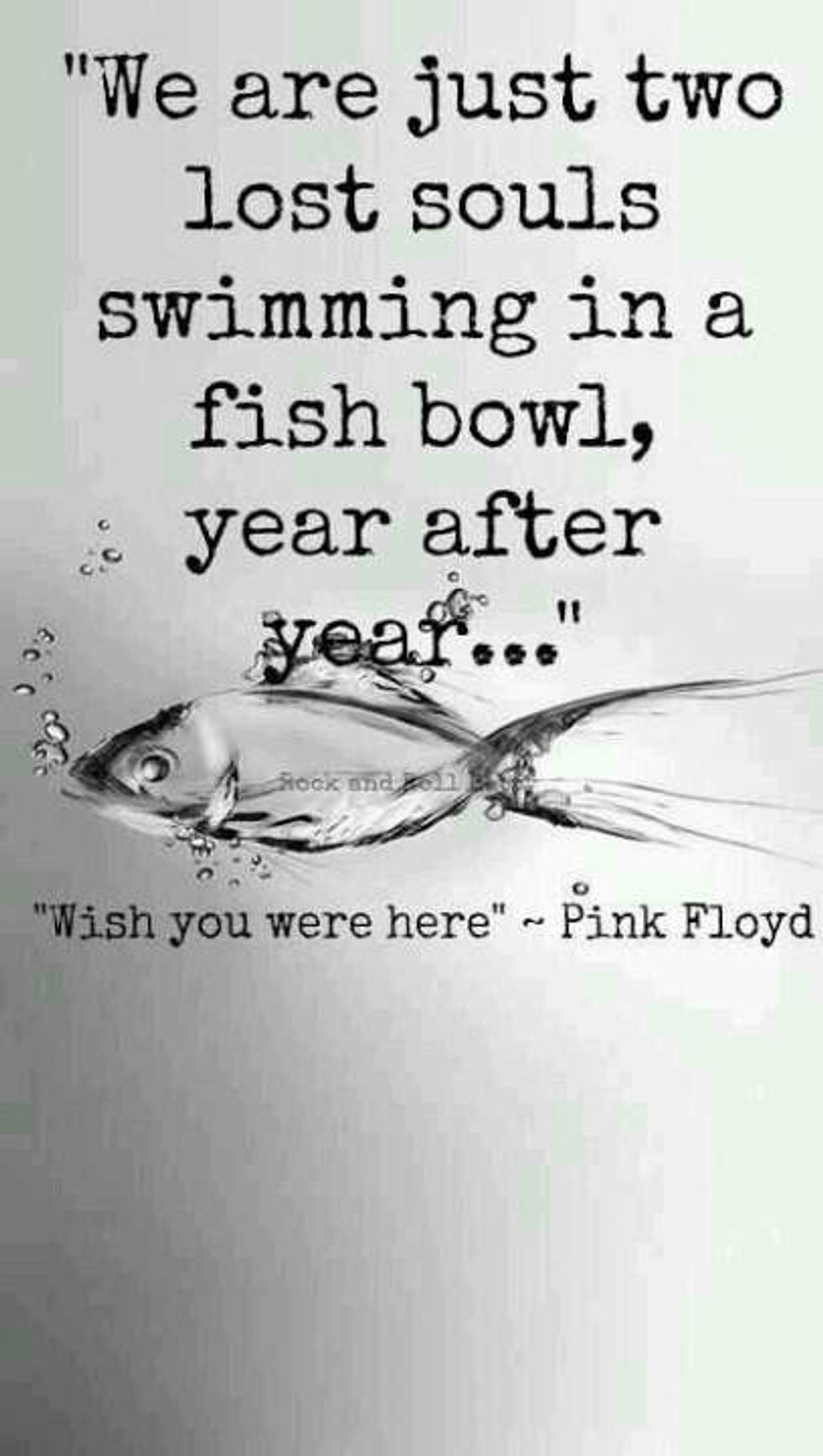 10 Bands All Real Classic Rock Fans Love | The Odyssey Online