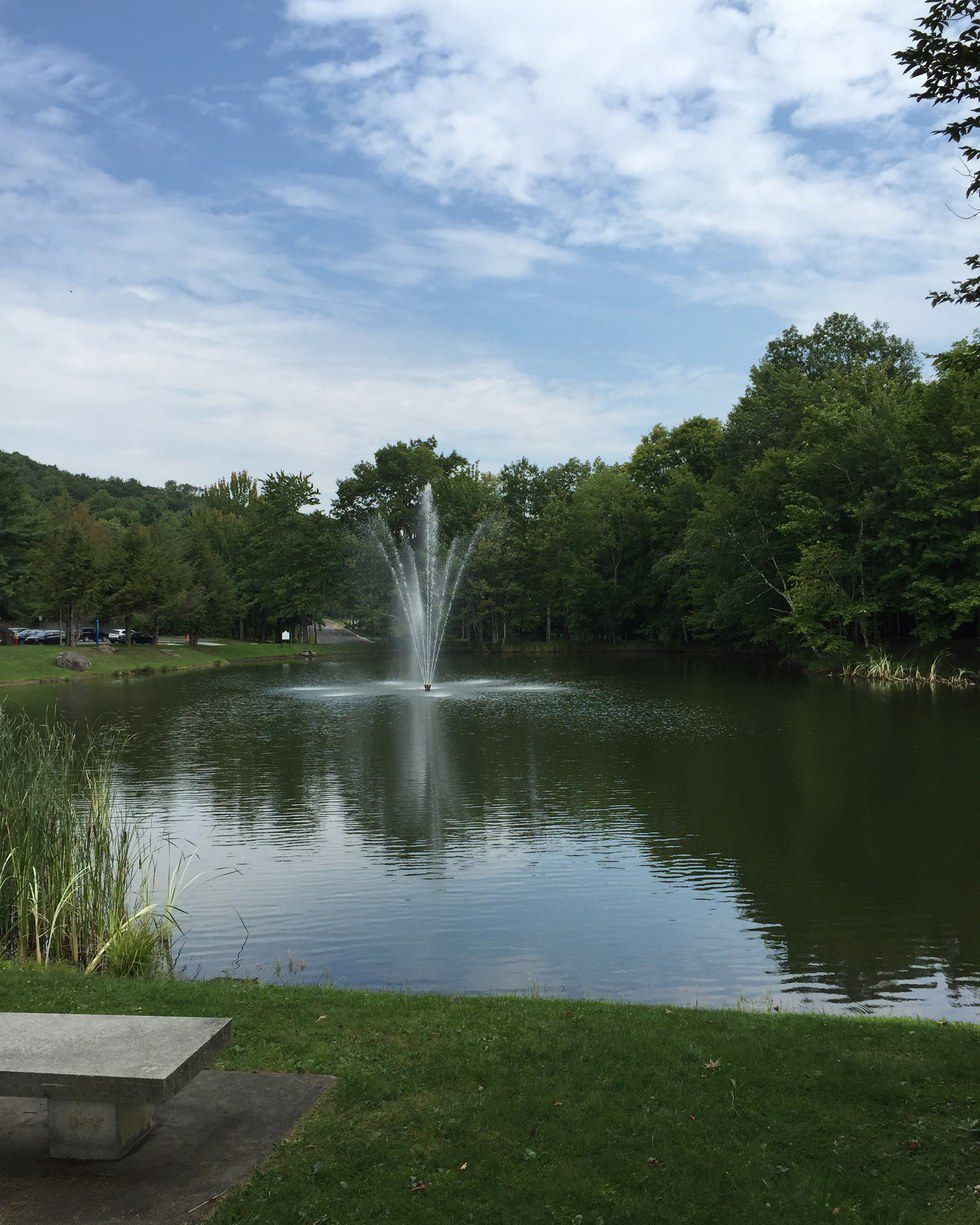 5 Beautiful Places To Take Photos Of SUNY Oneonta | The Odyssey Online