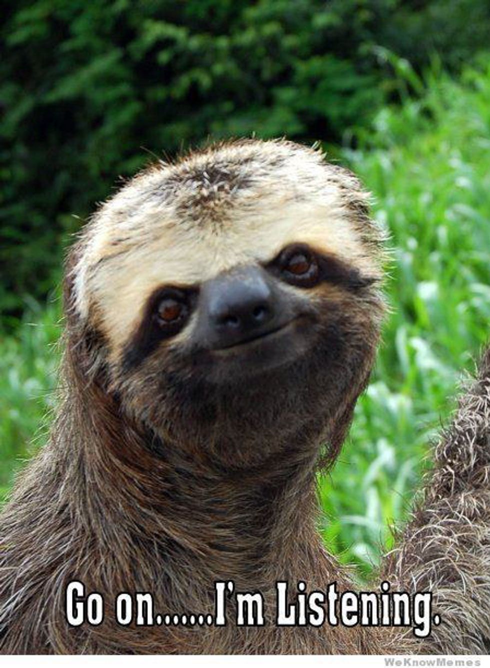 15 Times Sloths Were Basically College Students | The Odyssey Online