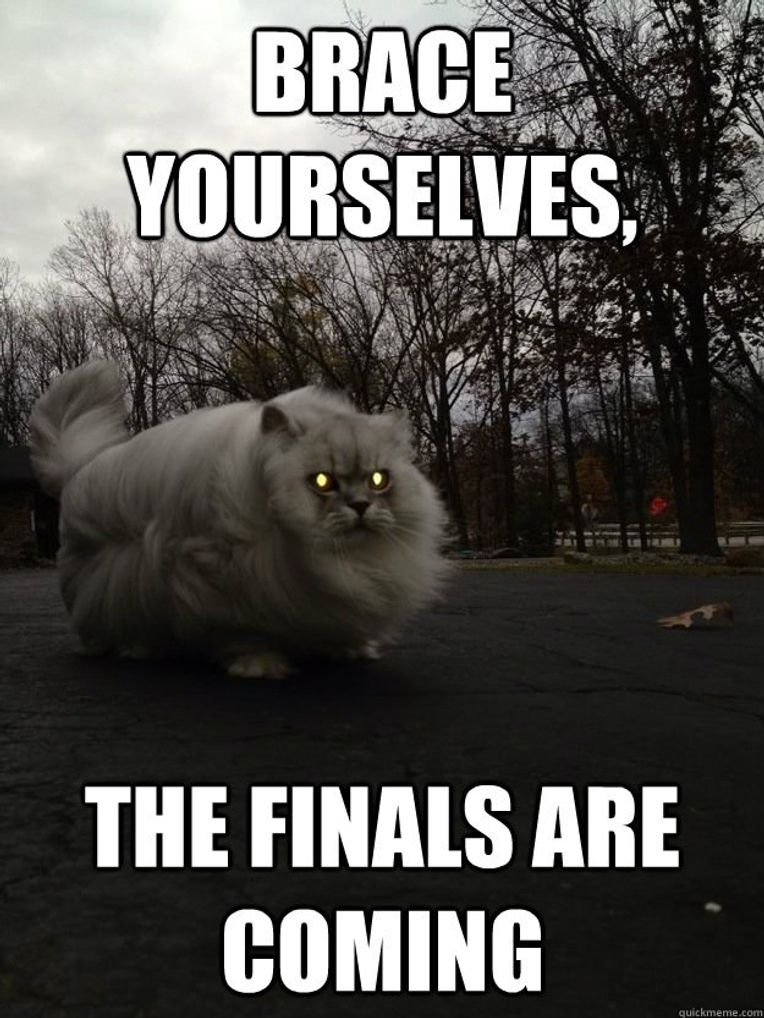 Finals Week Cat Meme