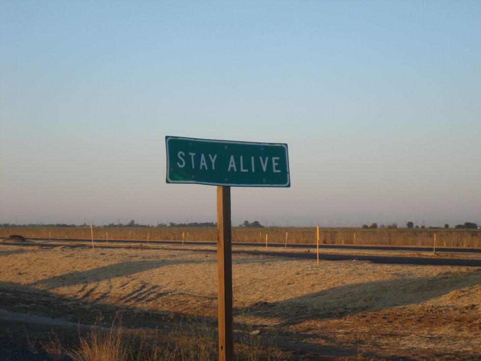Odyssey Poetry: Stay | The Odyssey Online