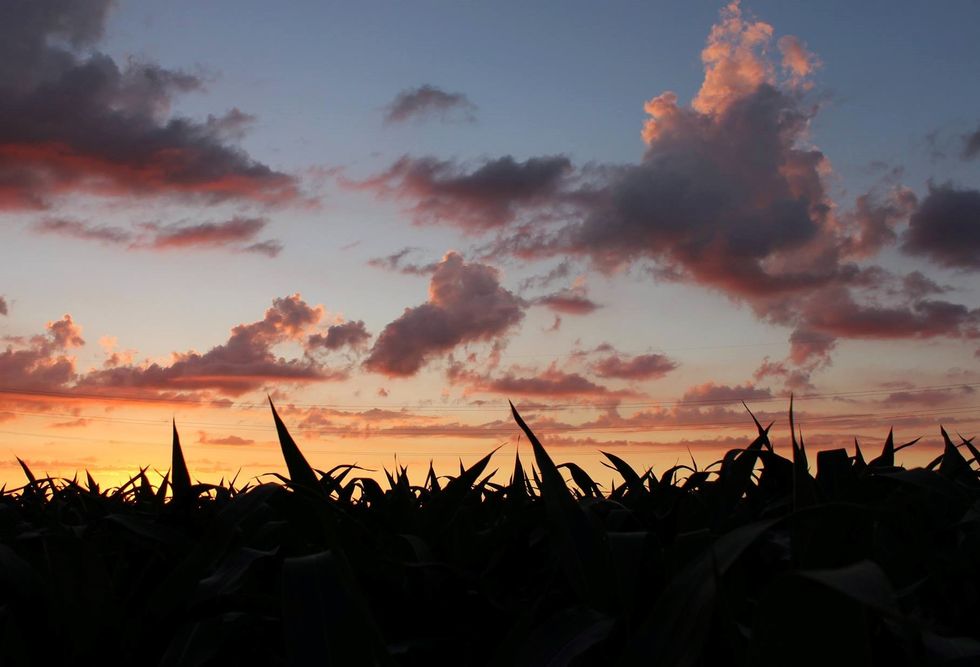 18 Slang Words You'll Definitely Hear In Indiana | The Odyssey Online