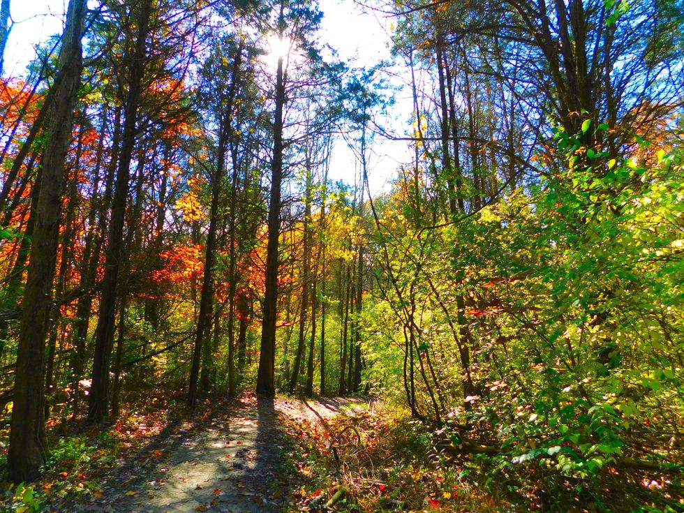 Pledges Versus Promises | The Odyssey Online