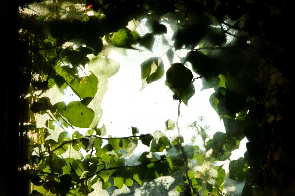 On Kindness And Malice: | The Odyssey Online
