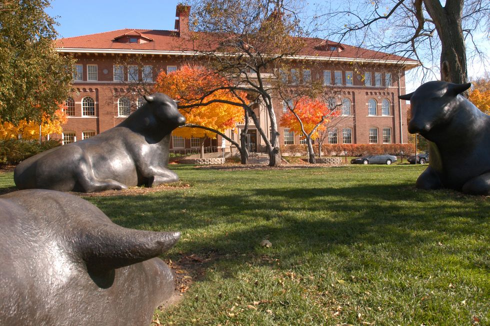 7 Things You'll Understand If You Basically Live On St. Paul Campus ...