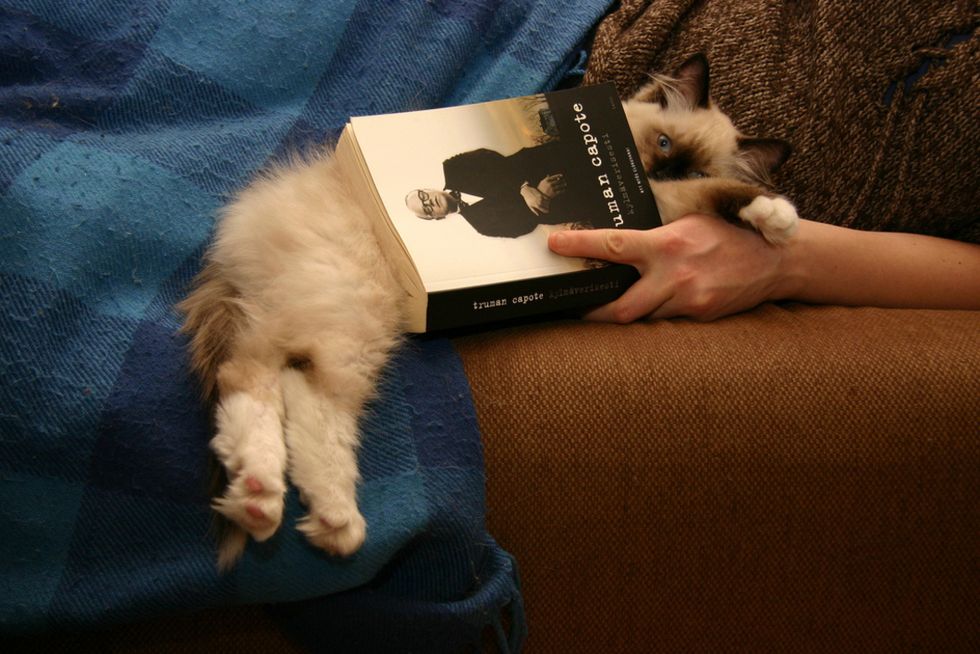 14 Random Items You've Definitely Used As Bookmarks | The Odyssey Online