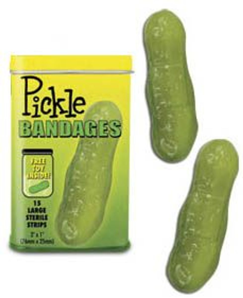11 Things Pickle Lovers Need In Their Life | The Odyssey Online