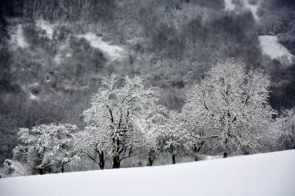 10 Completely Different Ways People Handle Snow In The South | The ...